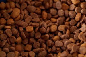 What Is Good Nutrition for Dogs? Your Complete 2026 Feeding Guide ...